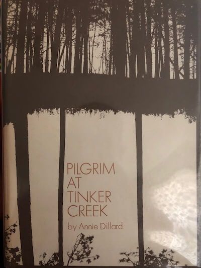 How to Be a Happy Writer - Bookfox